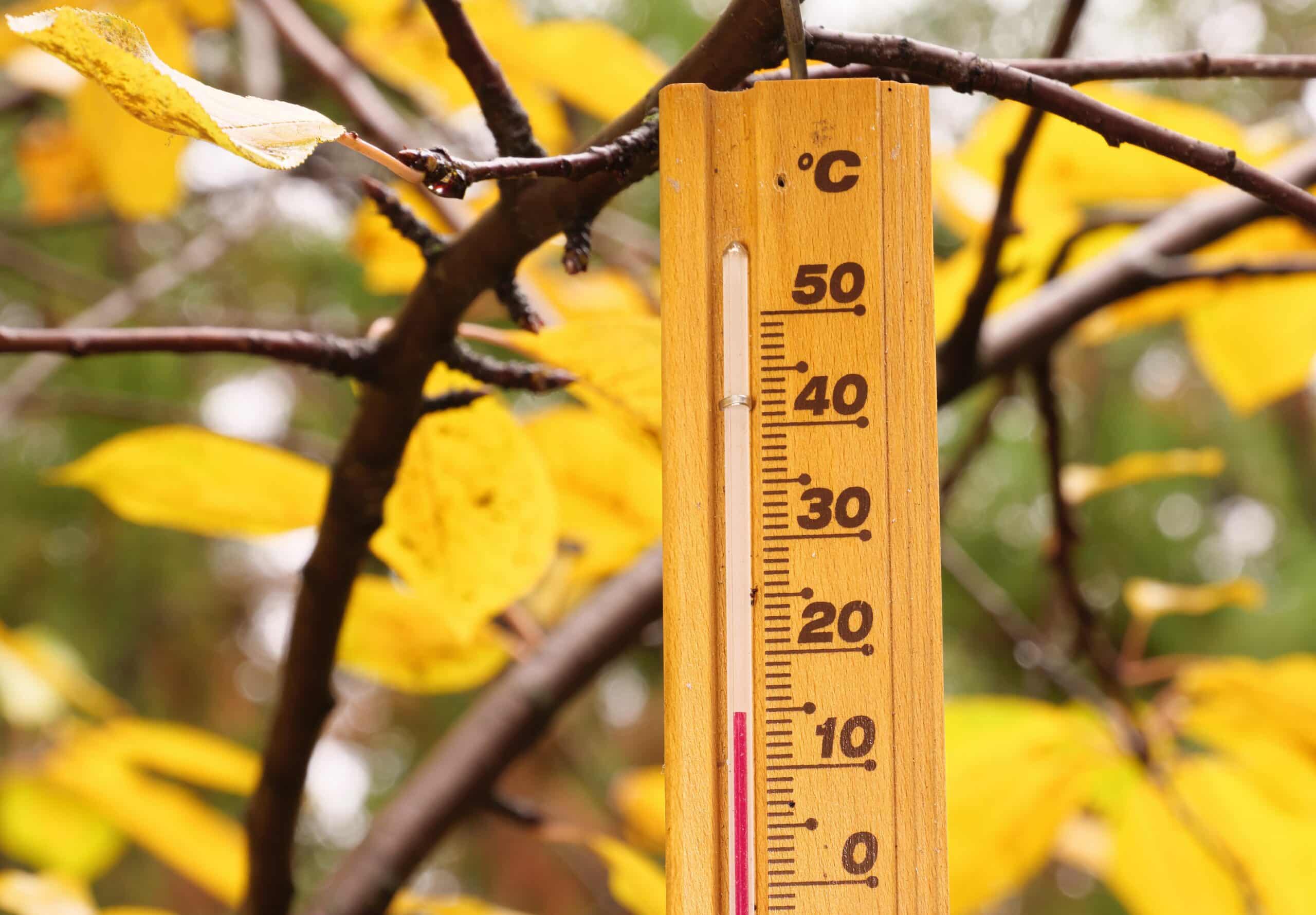 Toamna lovește în forță: frigul se instalează din 25 septembrie - ZECE ...